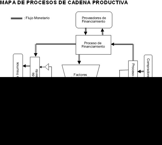ALEXANDRA ARGUELLO ESPINOSA: MAPA DE PROCESOS - CADENA PRODUCTIVA