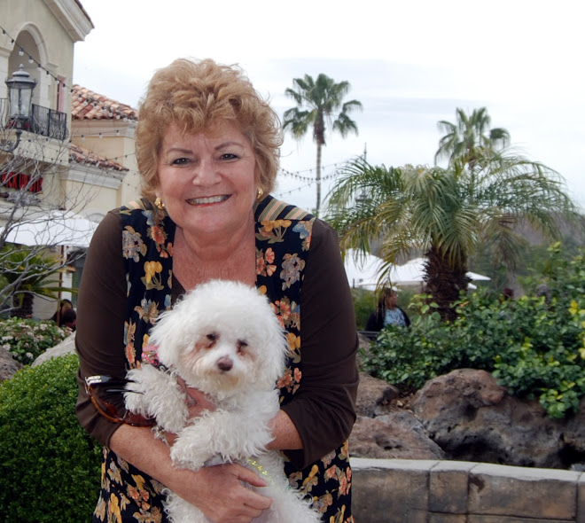 Professional Photographer