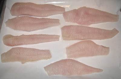 Outdoor U: Bleeding Fish