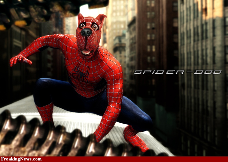 Cliché Life Stuff: January 2011