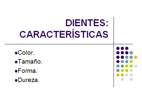 ODONTOLOGIA UJCM: II CICLO