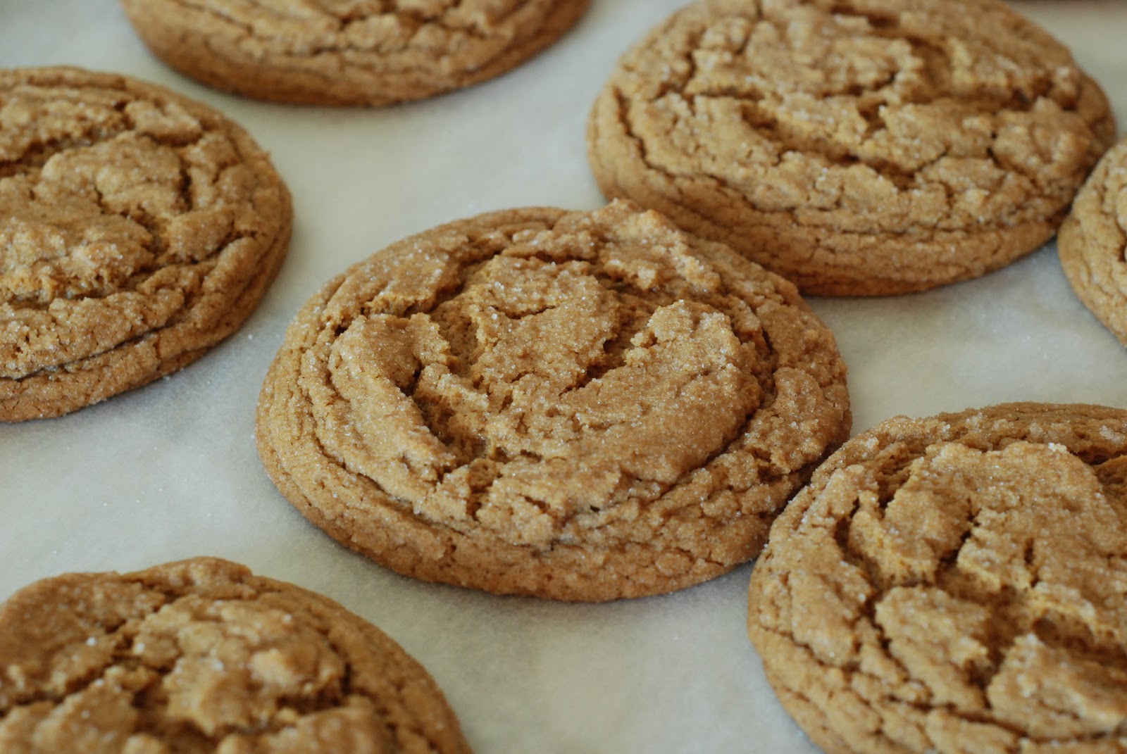 Soft Ginger Cookies - Simply So Good