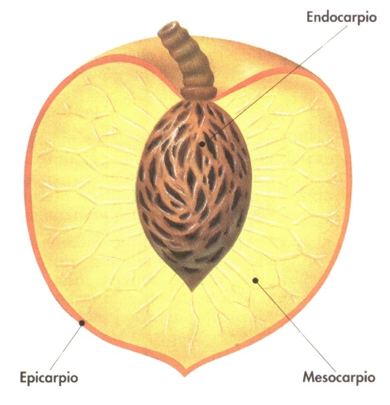 EL QUINTO PUPITRE: mayo 2010