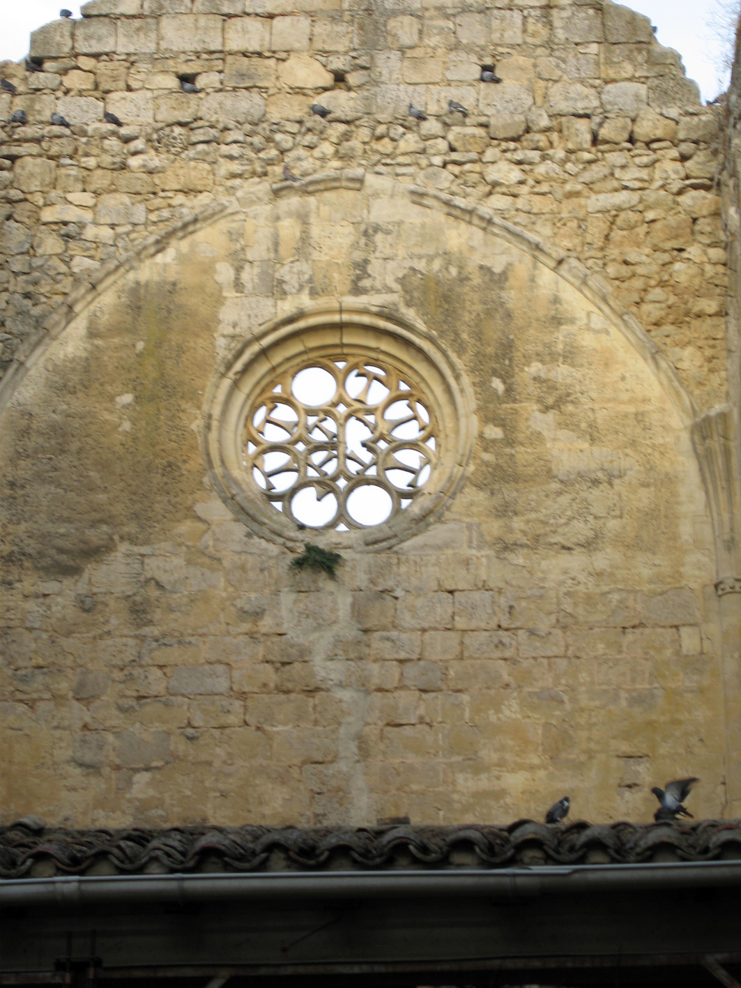 Le Colonne di Ercole: I MISTERI DEL CAMMINO DI SANTIAGO
