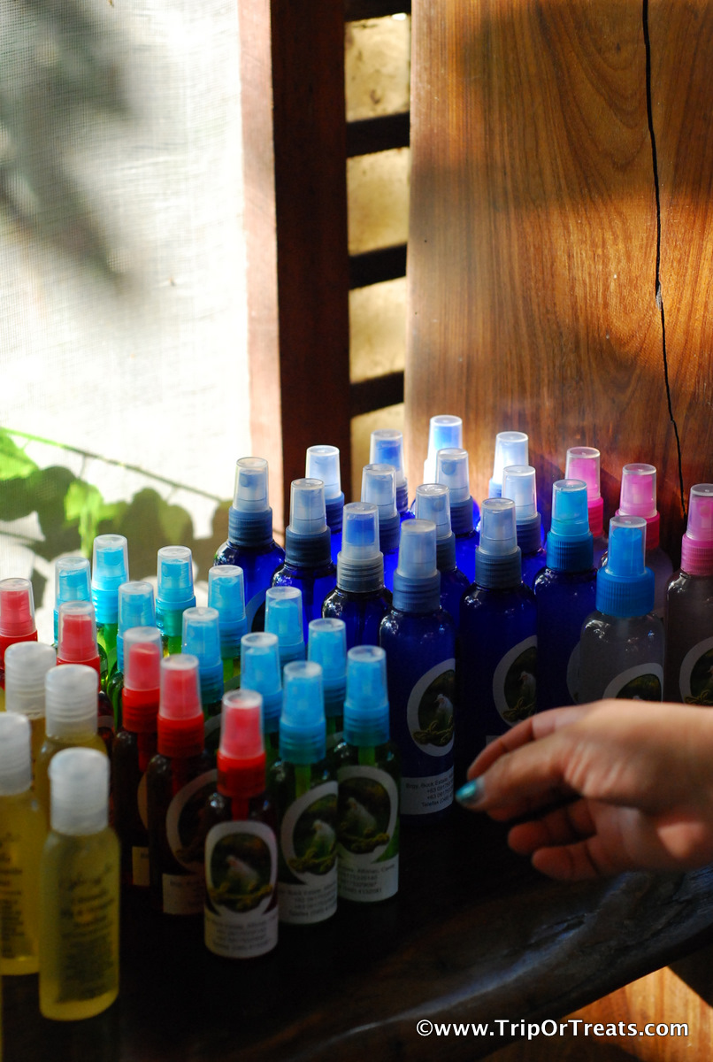 Trip or Treats: Bentosa's Bliss At Sonya's Garden