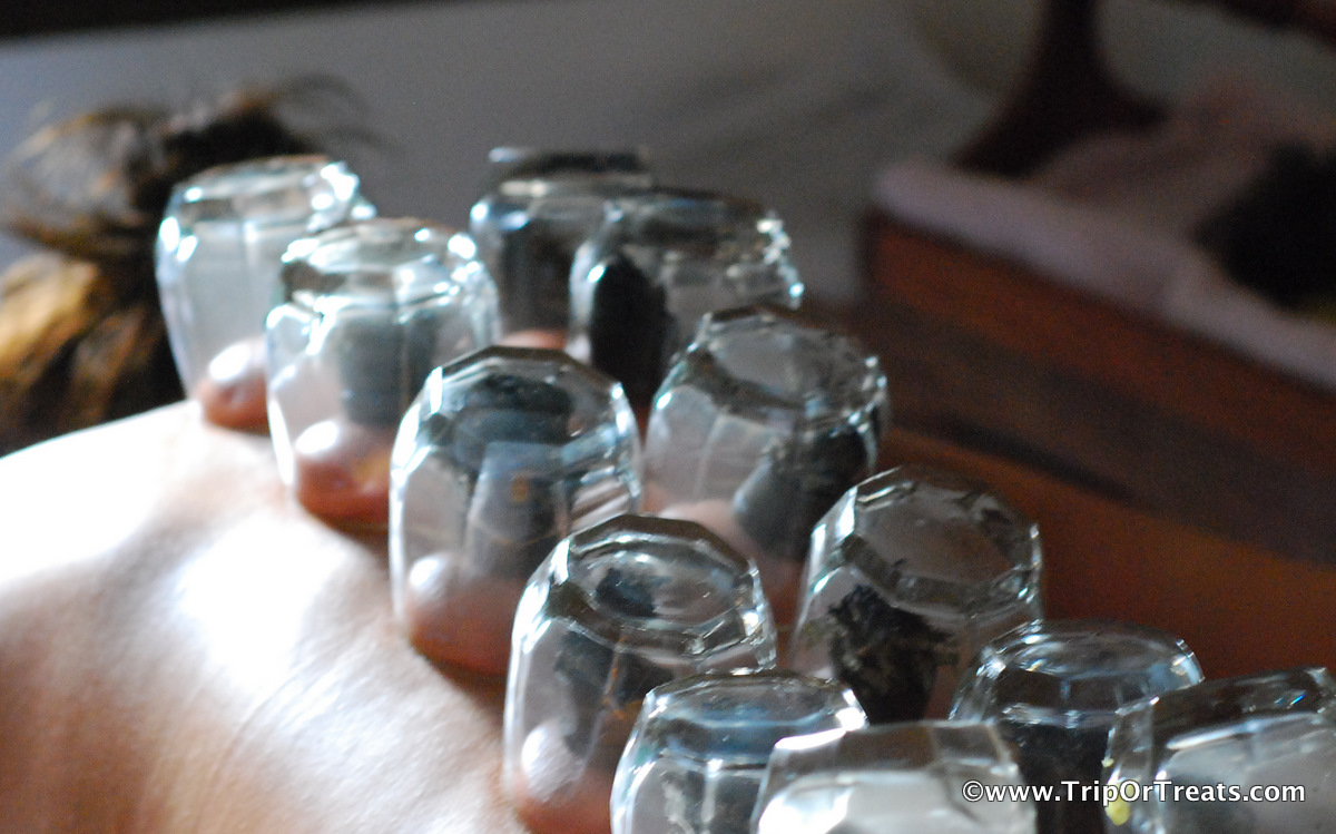 Trip or Treats: Bentosa's Bliss At Sonya's Garden