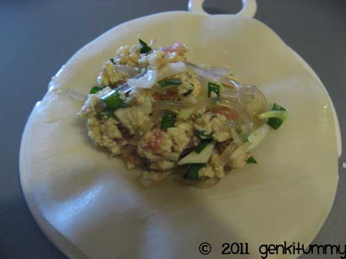 Genki Tummy: Korean Mandoo Making