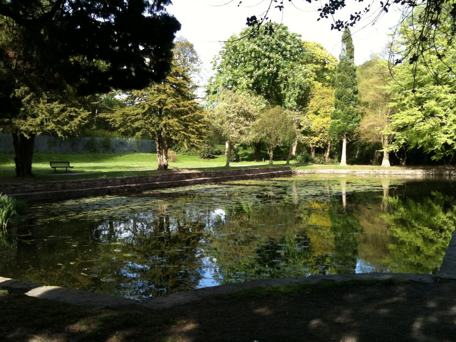 Britain in Bloom: Witton Park - Blackburn