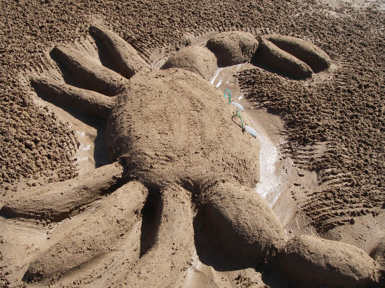 North Cornwall National Trust: Sand Sculptures and Coastal Collages