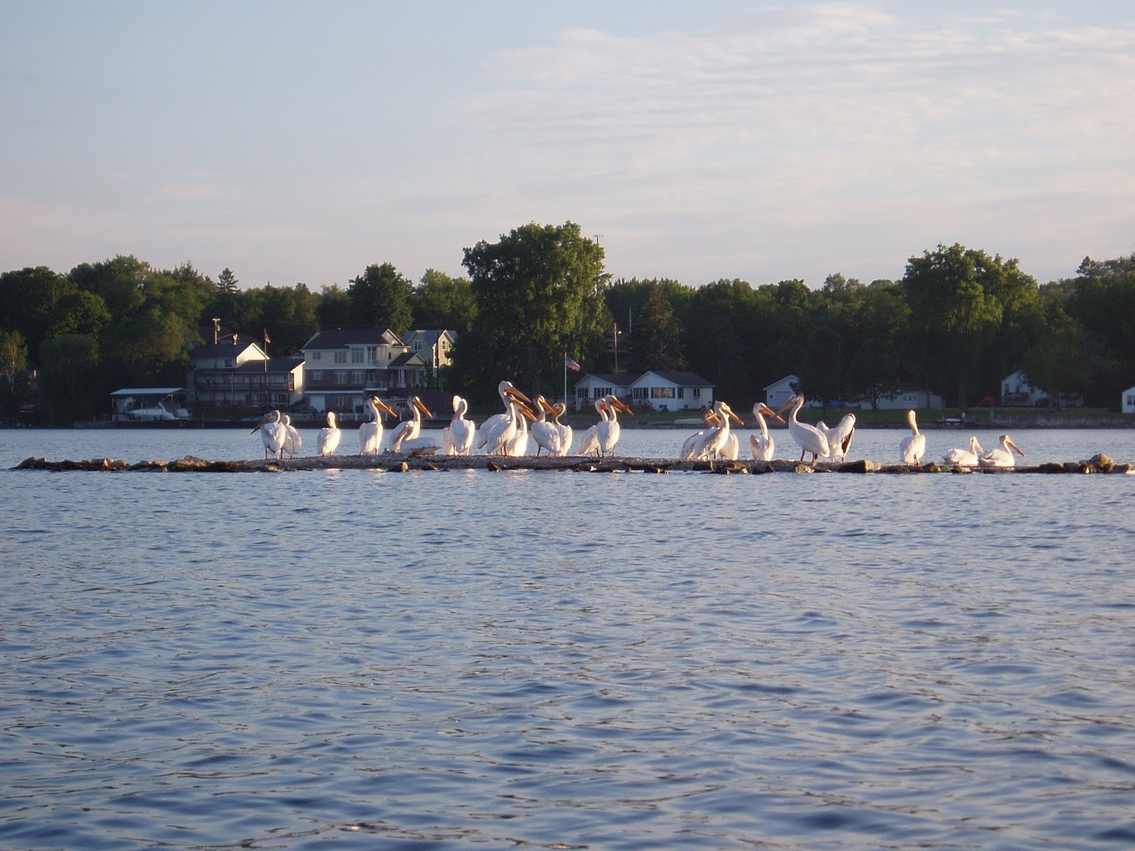 onthewater: Additions to Pre July 11 paddles