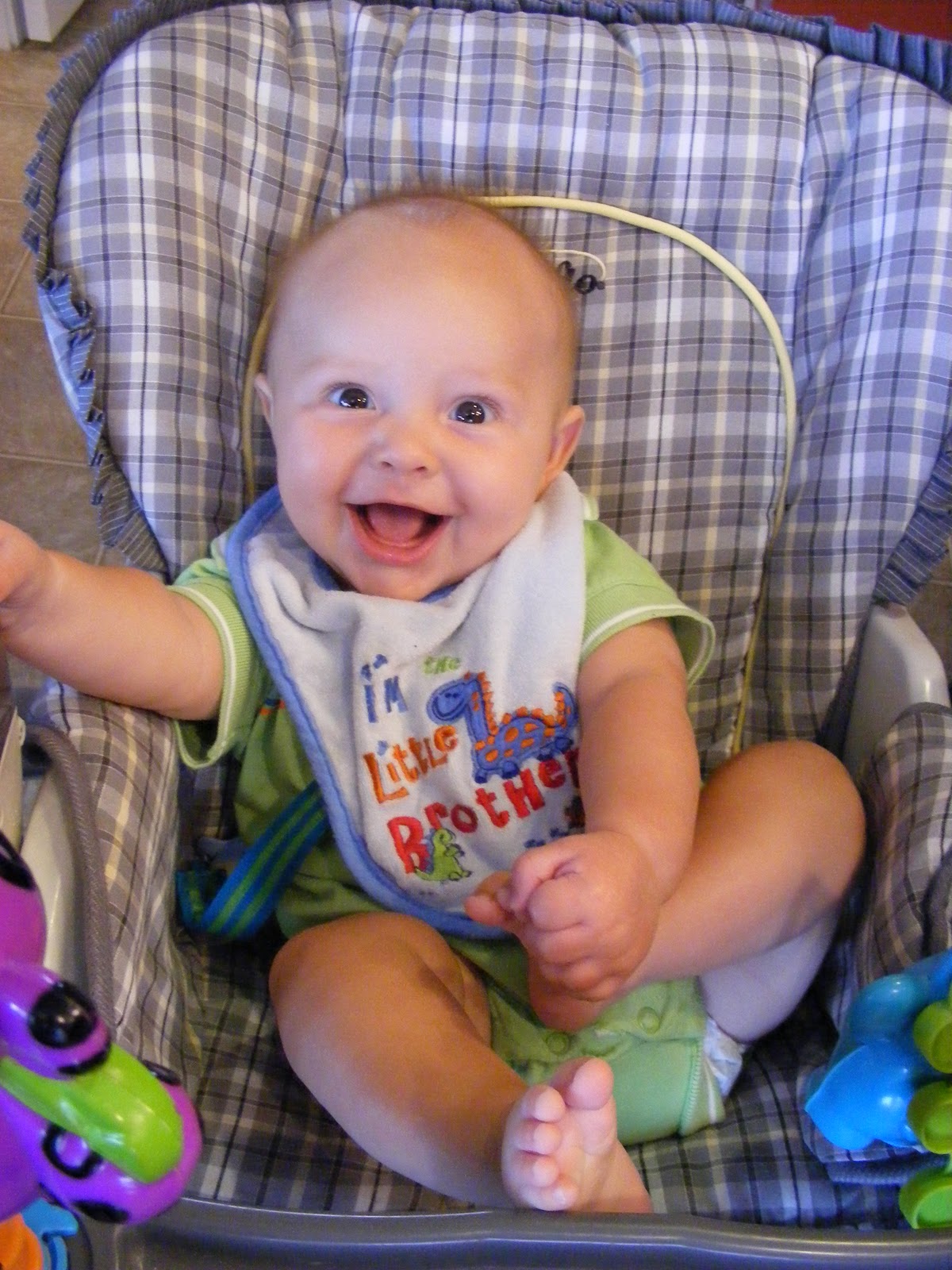 Another Day In Paradise: Mr. Rolley Polley is 5 Months Old