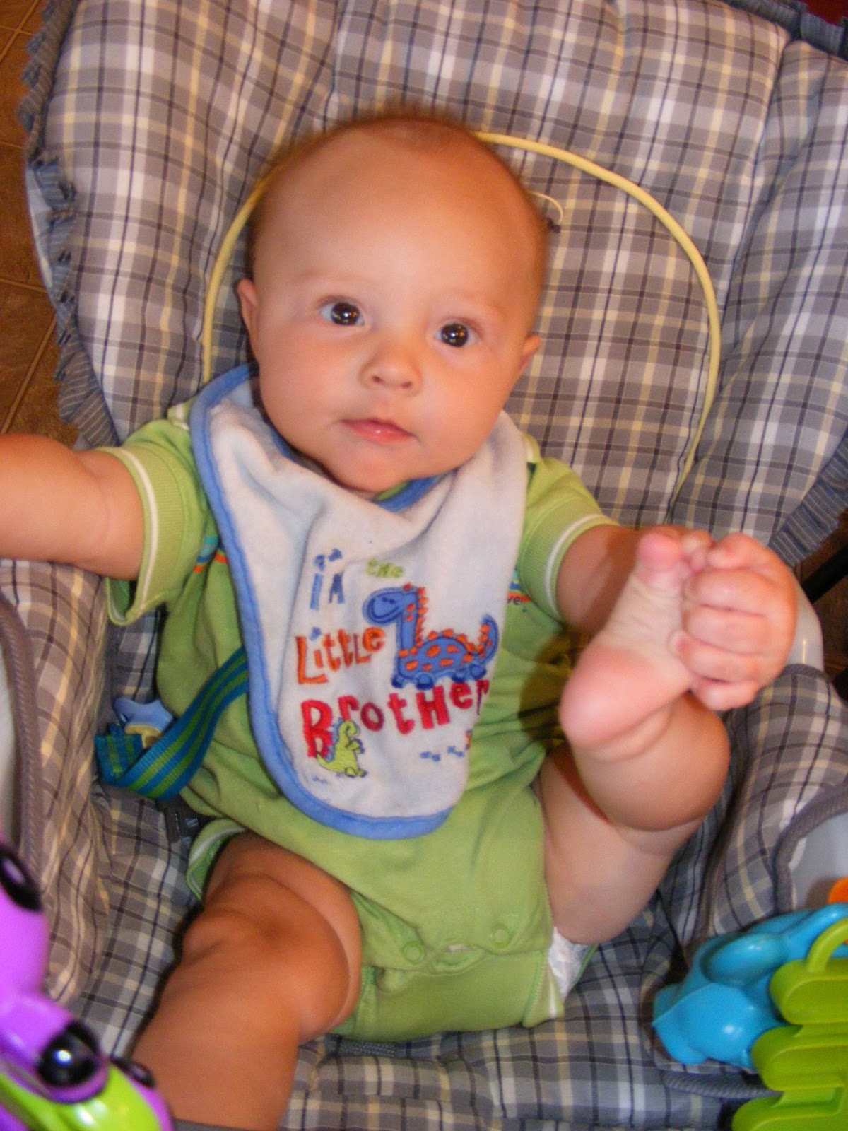 Another Day In Paradise: Mr. Rolley Polley is 5 Months Old