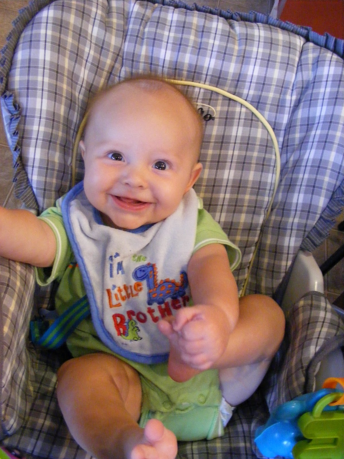 Another Day In Paradise: Mr. Rolley Polley is 5 Months Old