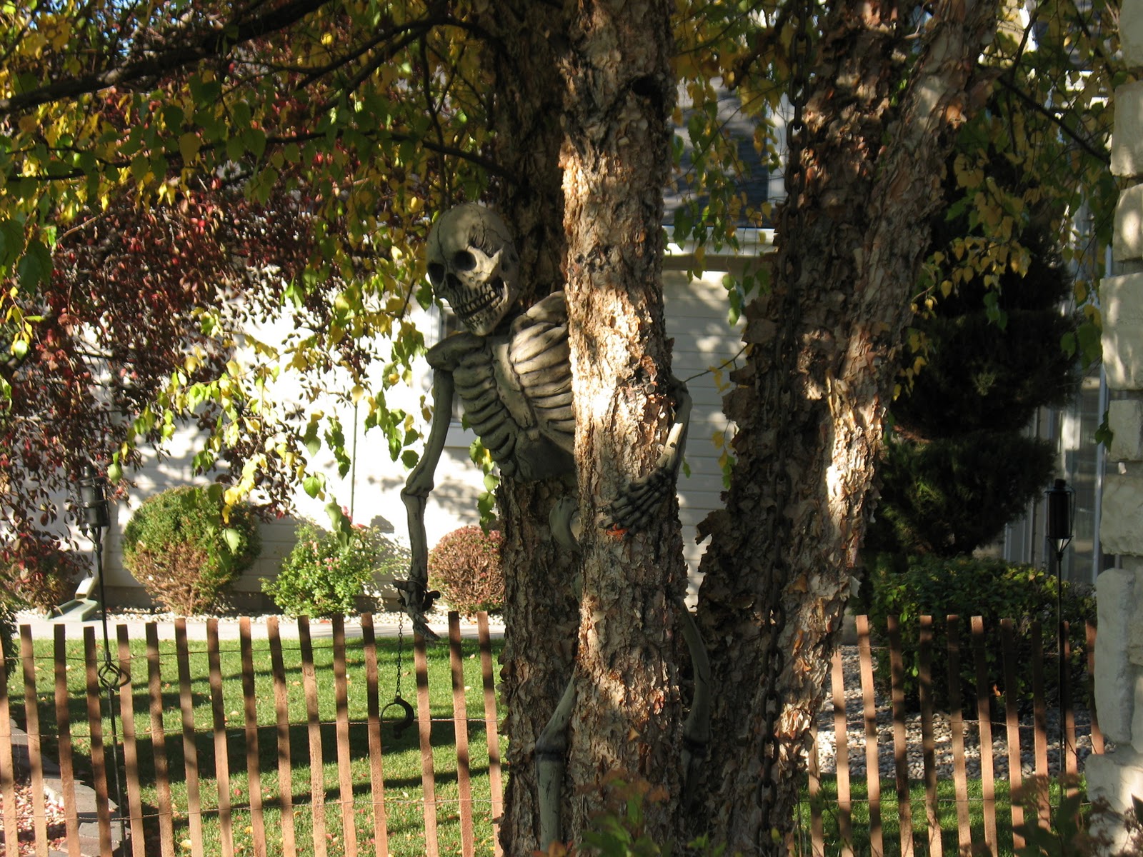 Warts and all...: Spooky Fence