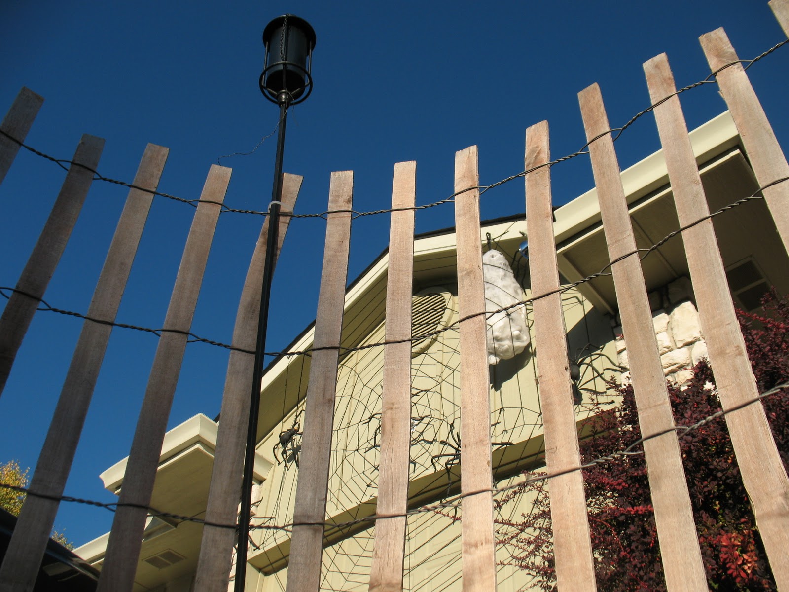 Warts and all...: Spooky Fence