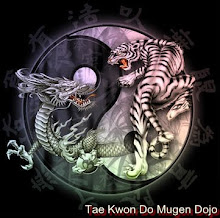 Tae kwon Do: Historia Do Tae Kwon Do