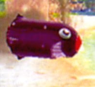 BLAM! Saiba tudo sobre os Bullet Bills!