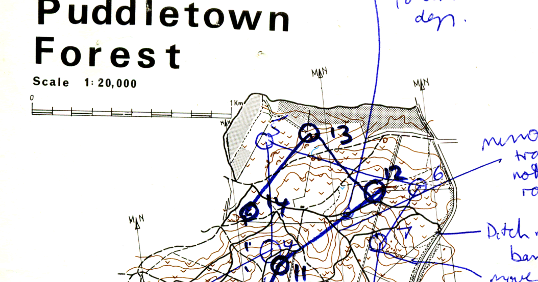 Five colour map: Puddletown Forest