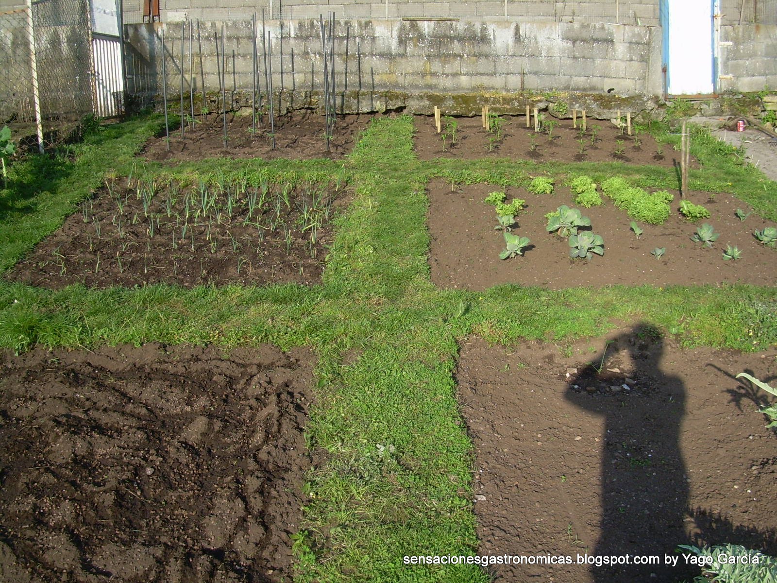 Sensaciones Gastronómicas: Huerto