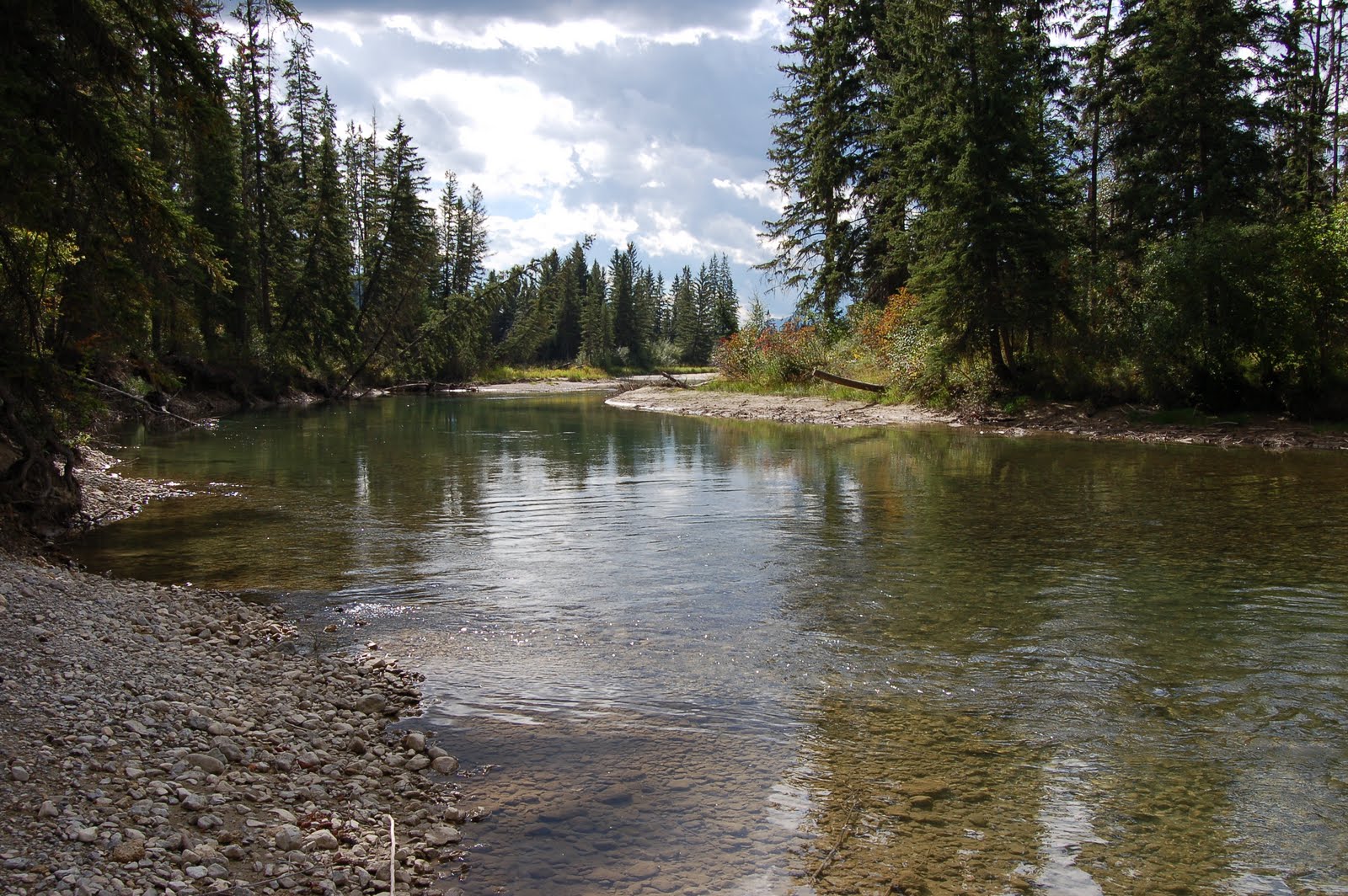 Views from the Columbia: Near the Source of the Columbia River