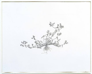 Archive: Michael Landy