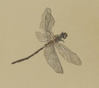 Archive: Michael Landy