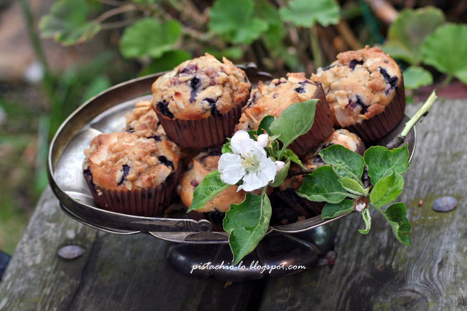 Kwitnących jabłoni czar i muffinki jagodowe.