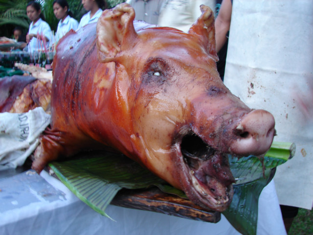 ::k.u.t.m.u.s.::: adakah bahan harian anda HALAL??check disini..