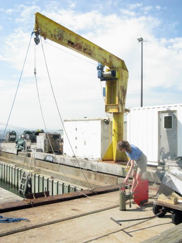 Vent Larvae Cruises: August 2010