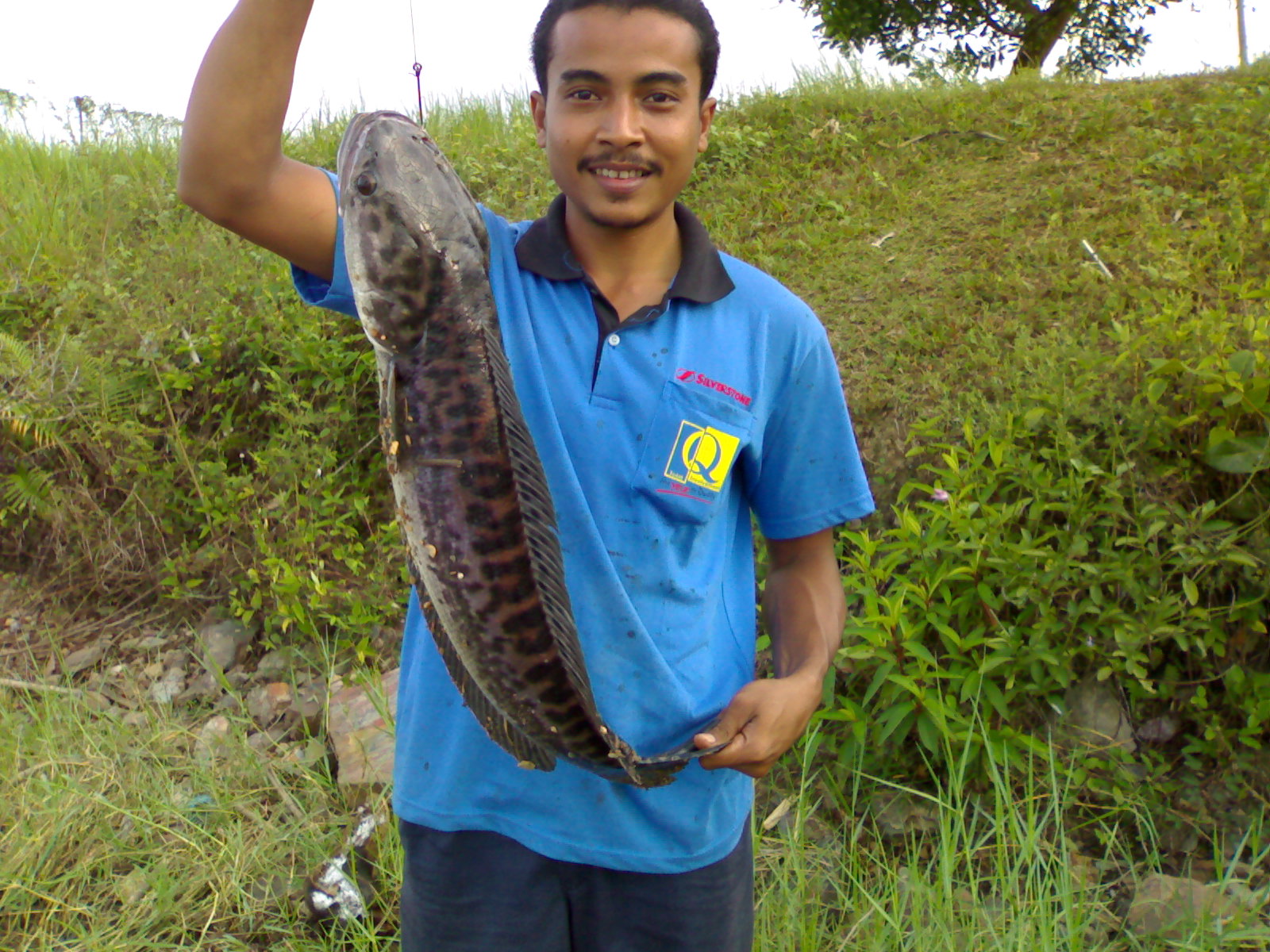 Puakajoran.blogspot.com: Amokan Puaka Toman Bukit Merah Lake Town