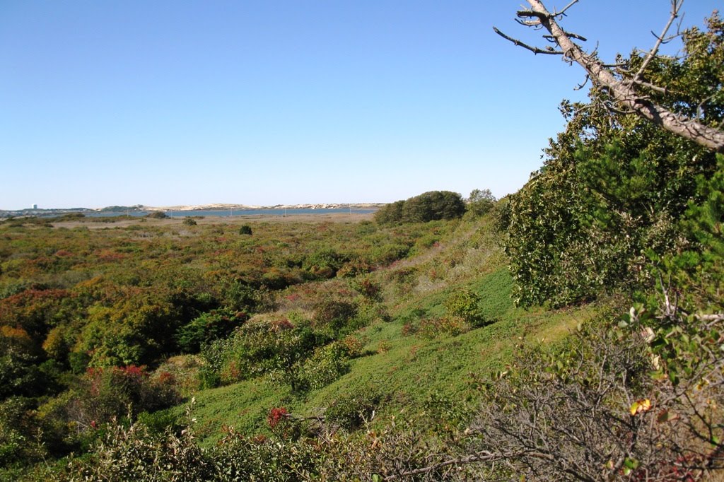 Windswept Adventure: More Cape Cod Scenery