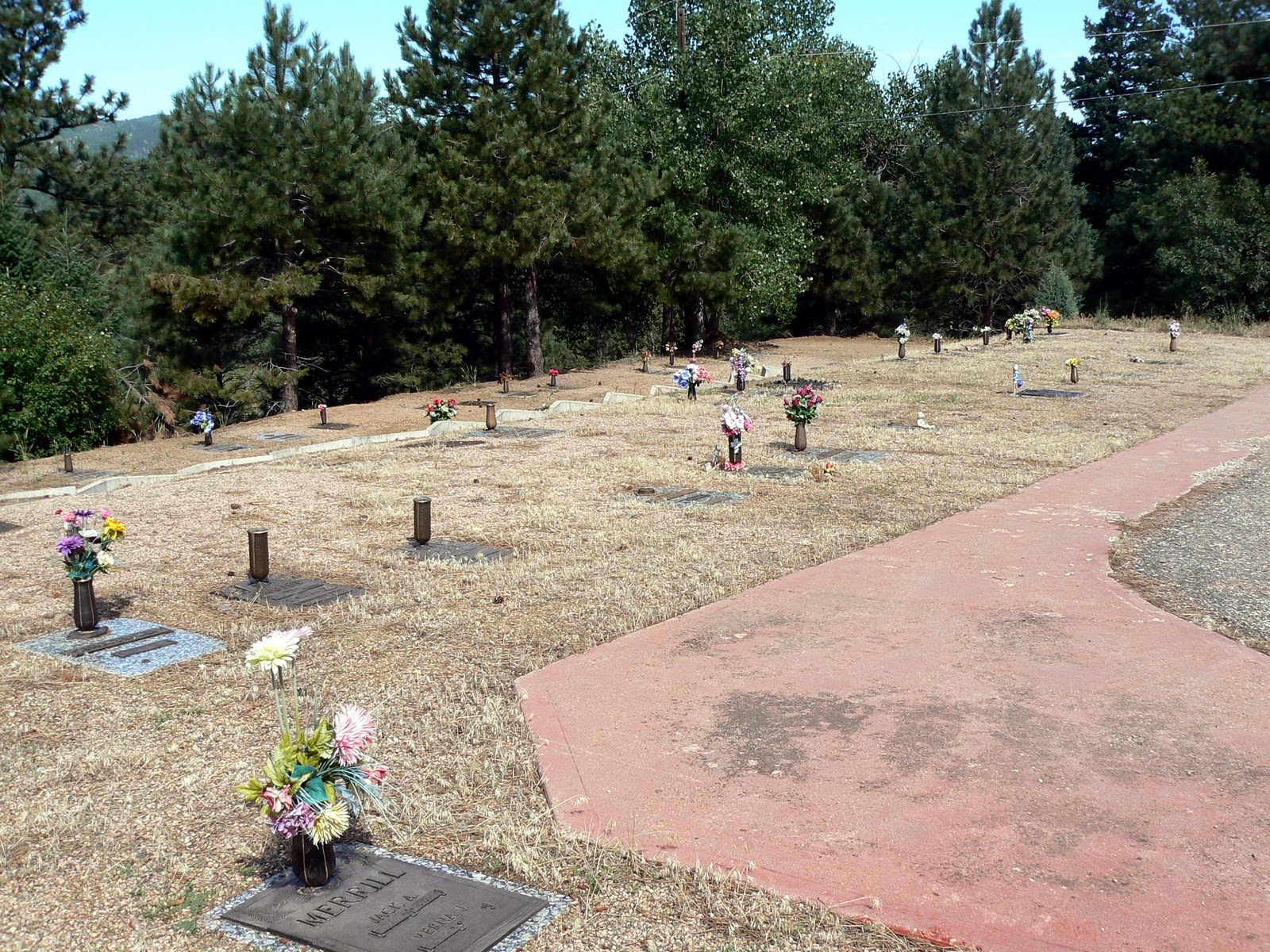 An Evans Expedition: Mount Lindo Memorial Park