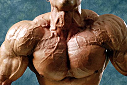 Vascular Bodybuilding Muscle Stop!: Extreme human vascularity