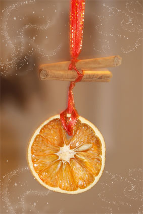 Tusen Ting: Tørkede appelsiner til julepynt