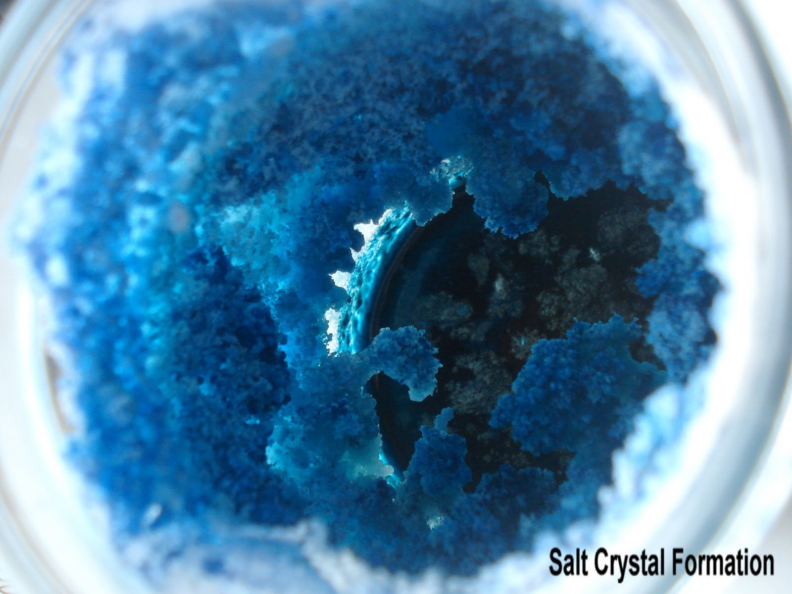 Bella Sera Boutique: Salt Crystal Formation For Fun!