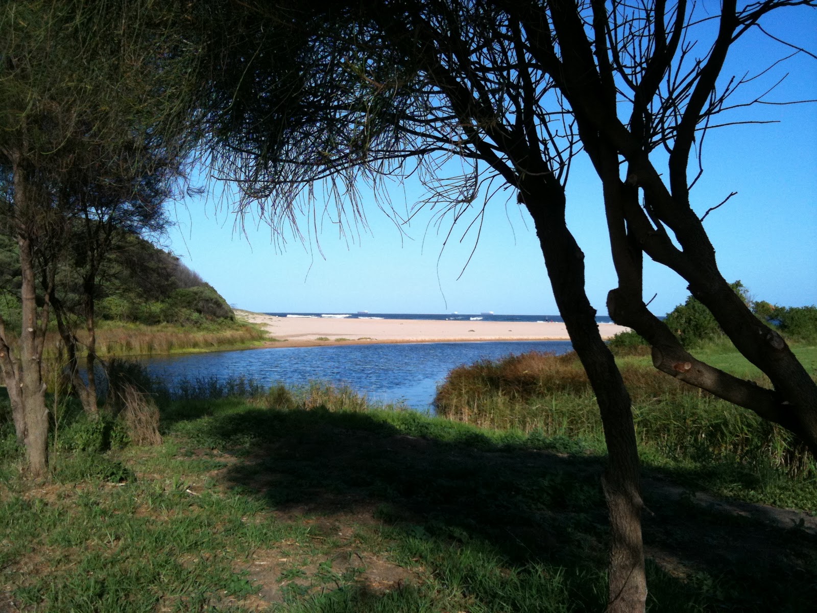 Illawarra Beaches - Bellambi Point