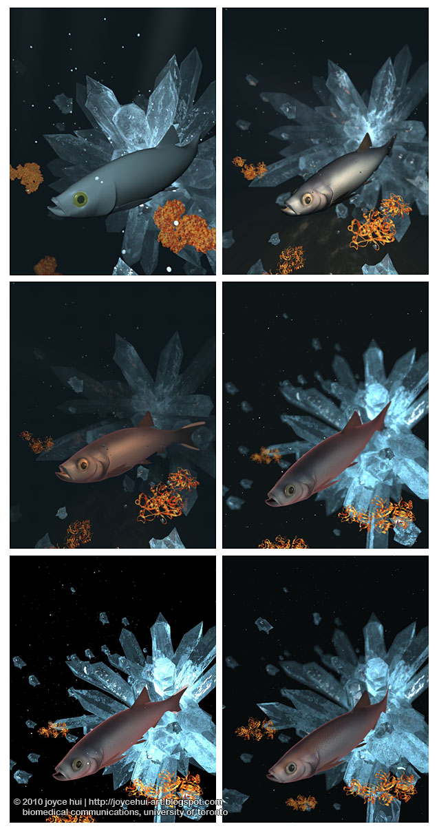 a r t . p o o p a g e: Fish! process part 3/3