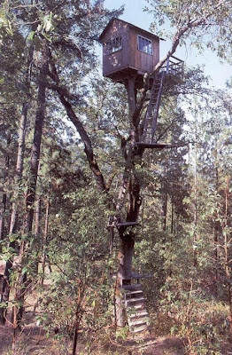 Weird Cool Things: Bizarre Tree houses