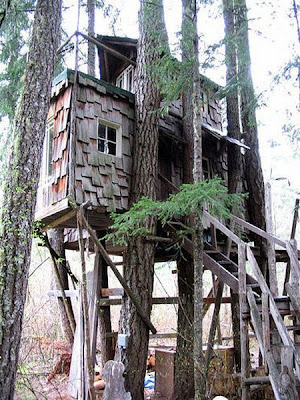 Weird Cool Things: Bizarre Tree houses