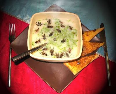 Weird Cool Things: Weirdest Disgusting Foods,Can You Dare to eat this.