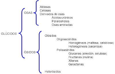 bioquimica: FAMILIA DE LAS ALDOSAS