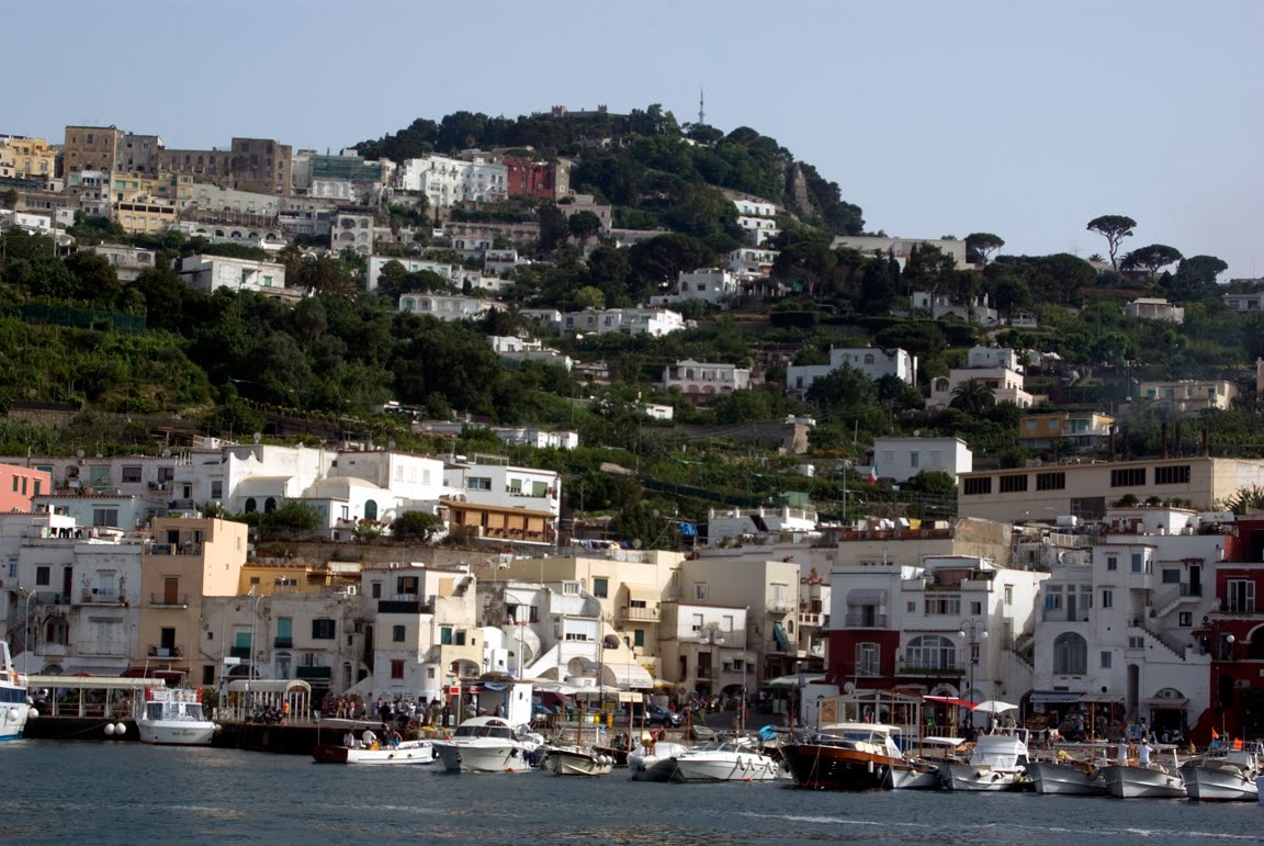 Reflections on Wine: Wine, Yes Wine from Capri