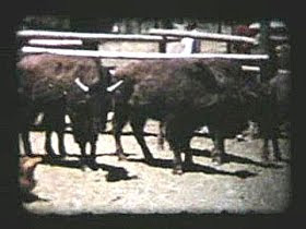 A Country Grammy's Walk With God: My Dad and Fess Reynolds