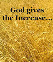 Proverbs-A Bible Study: Proverbs 11: 24 Poverty or Abundance