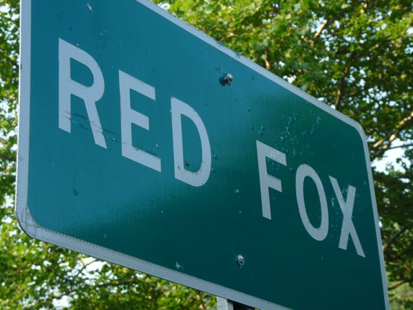 on the road with caterBuzz - the grassroots social media hub for ...