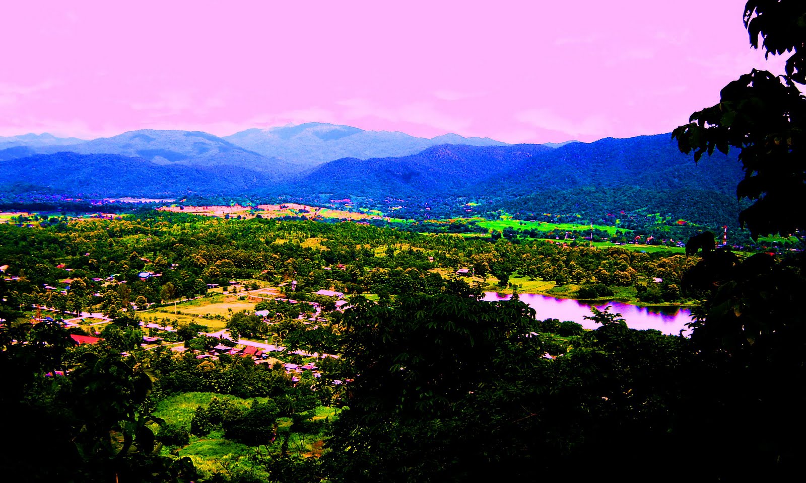 Elephant Small: V IS FOR VALLEY