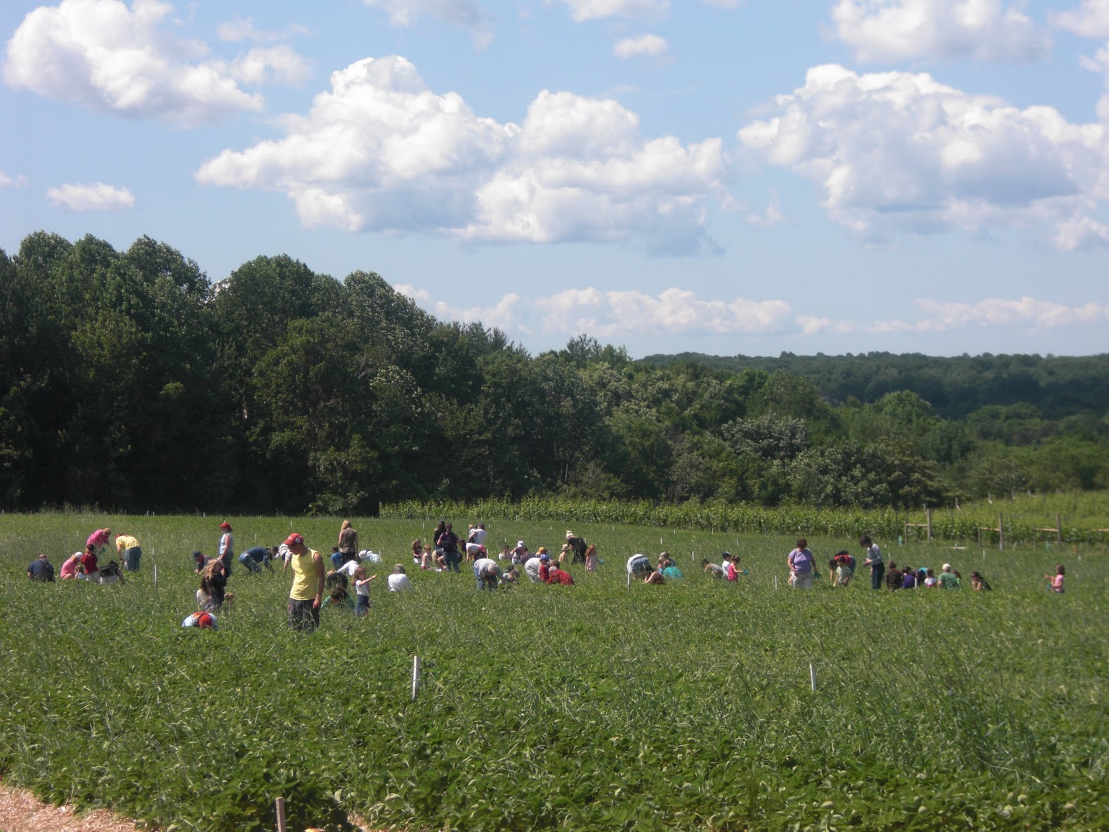 Tagan's Kitchen: Tagan's Kitchen Turns One!