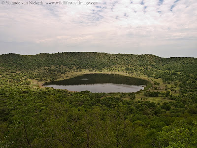 Wild PhotoMag: Tswaing Meteorite Crater