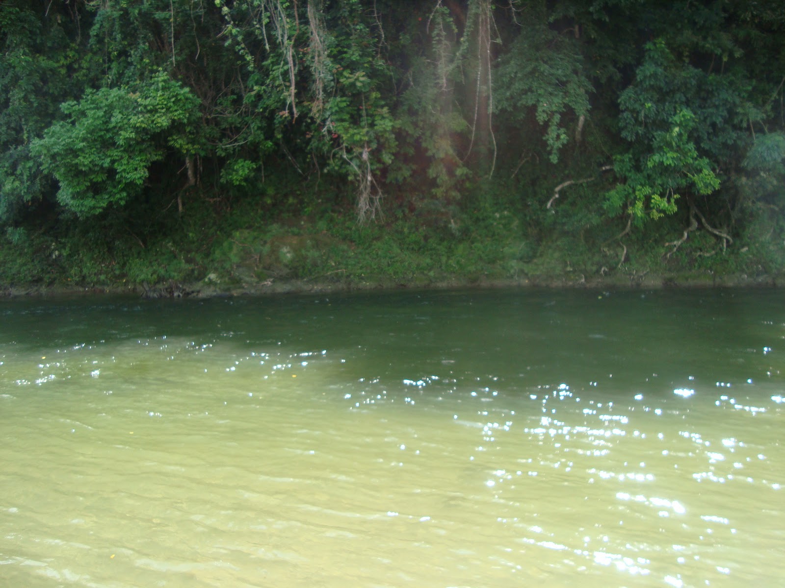 Santa Marta, Ciudad Mágica: Río Guachaca