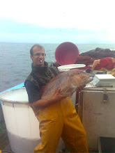 pure fishing: Riba fratar(prizemlje soba 5)